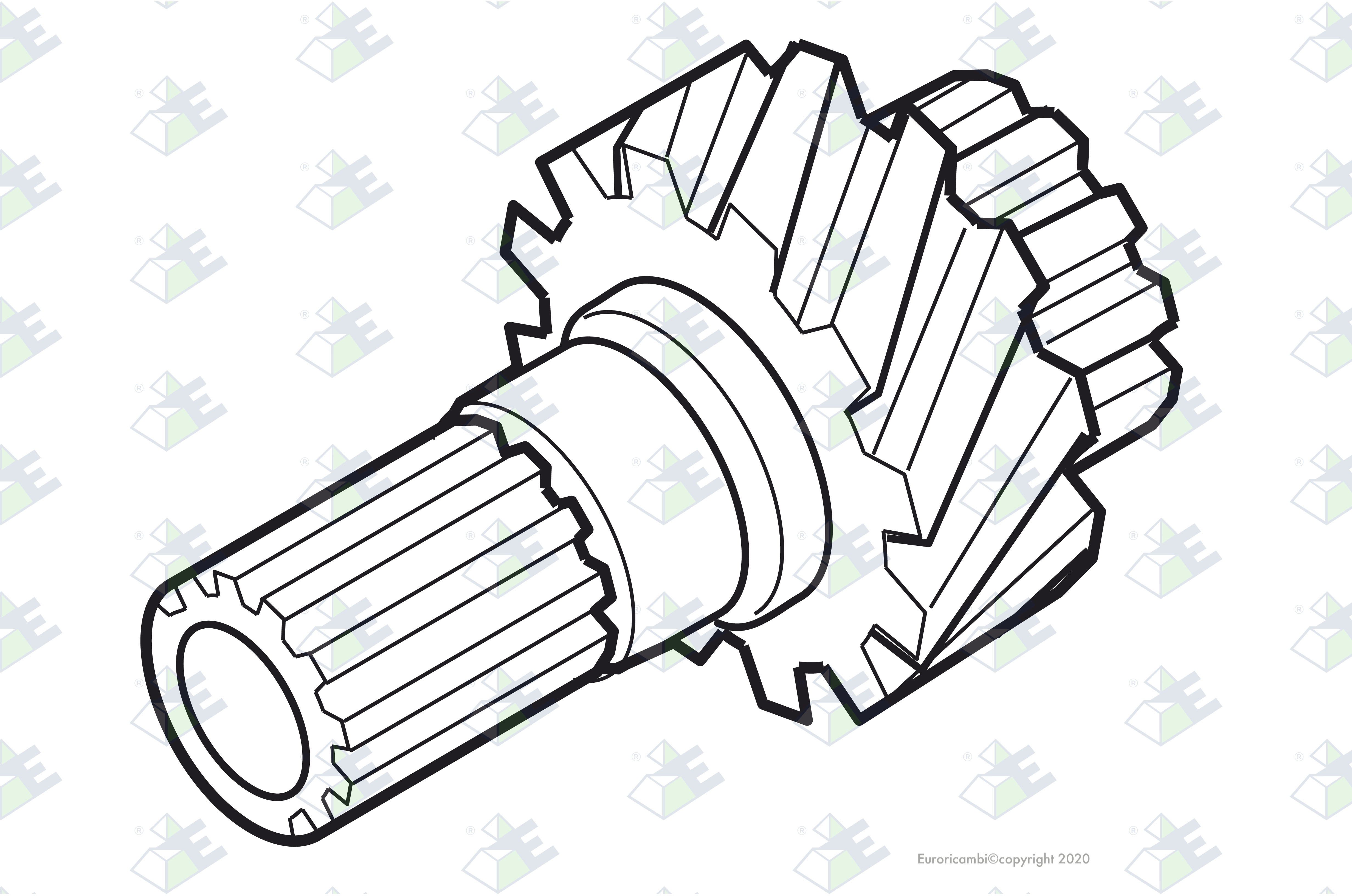 DRIVE GEAR 24 T Euroricambi Group DRIVE GEAR 24 T Euroricambi Group